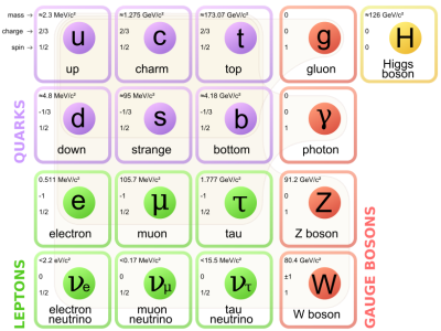 Standard model of elementary particles | It's a natural universe