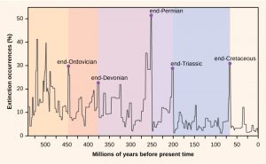 Archean, proterozoic and paleozoic — the rise of life | It's a natural ...