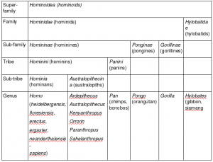 Paleontology | It's a natural universe